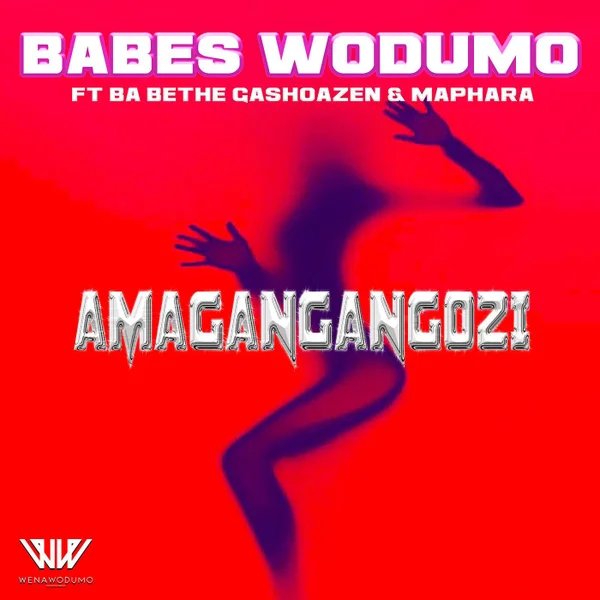 Download Latest Babes Wodumo Songs 2026, Mp3 Music, Videos & Albums ...