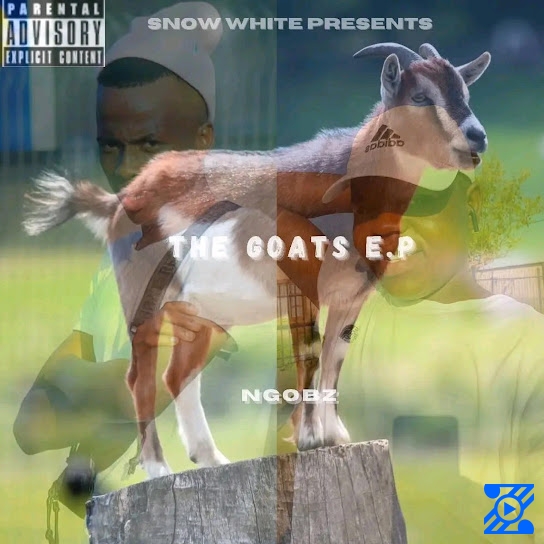 Download Ngobz – The Goats(To Felo le Tee,Dbn Gogo & Uncle Waffles) Ft ...