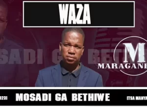 Download Latest Waza Songs 2026, Mp3 Music, Videos & Albums | ZaMusic